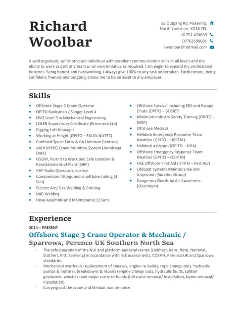 LEAFLET DXS PLATFORM & BRIDGING-A4 | PDF