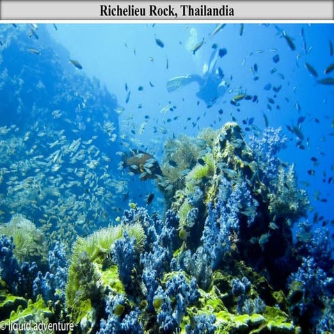 Richelieu rock, thailandia | PPSX | Africa Travel | Travel Locations
