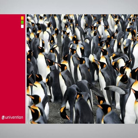 Rich Internet Application Development Using The Dojo Toolkit Ppt
