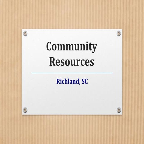 NURS 708- Richland County Community Resources | PPT