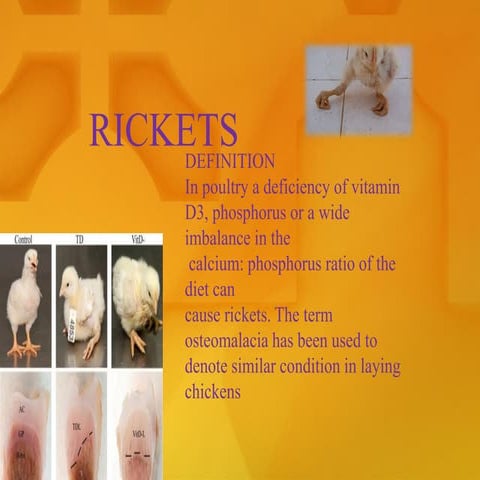 rickets1.pdf
