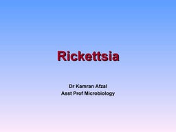 Rickettsia | PPT