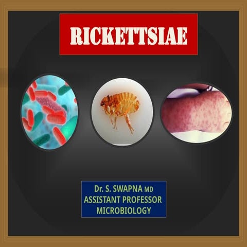 Rickettsial infections II MBBS class.pptx