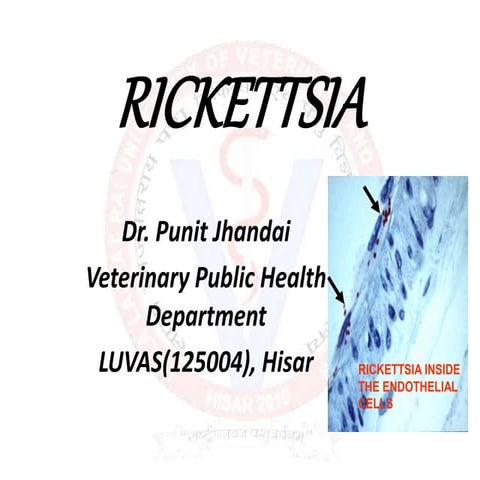 Rickettsia | PPTX