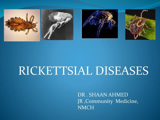 Rickettsia | PPT