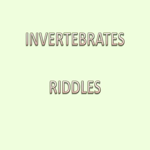 Riddles | PPTX