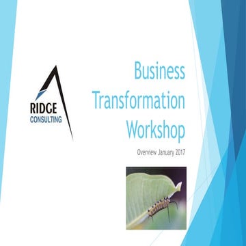 Ridge Consulting - Business Transformation Workshop - Overview | PPTX
