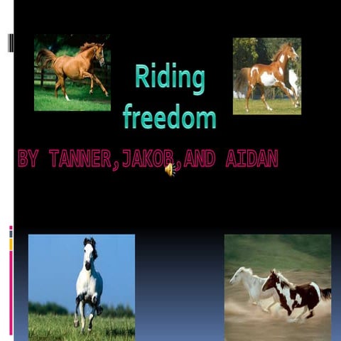 Riding freedom | PPT