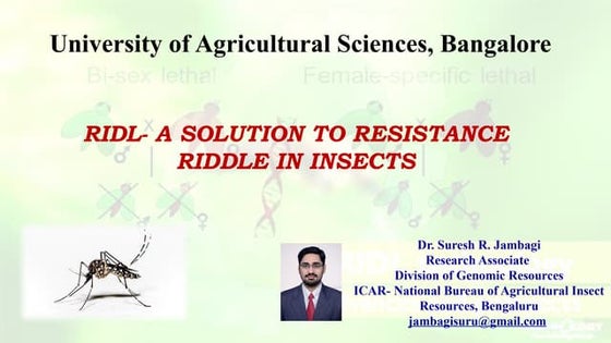 Insect abdomen and its appendages | PPTX | Biological Sciences | Science