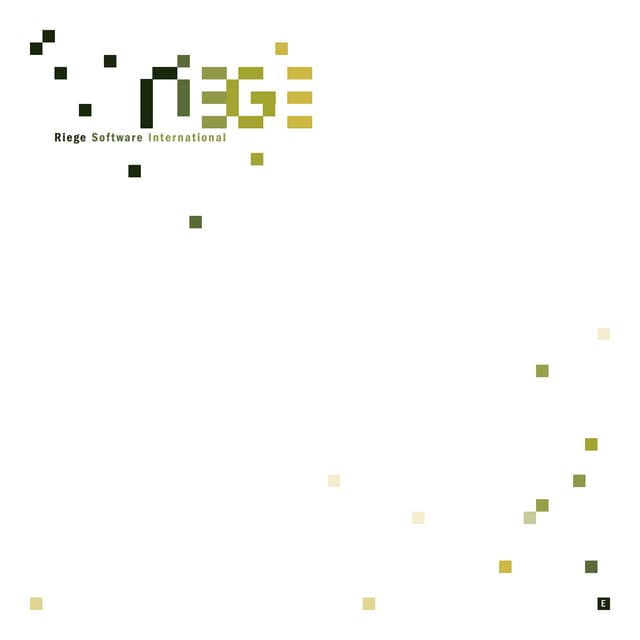 Riege corporate and Scope Brochure EN | PDF | Logistics and ...