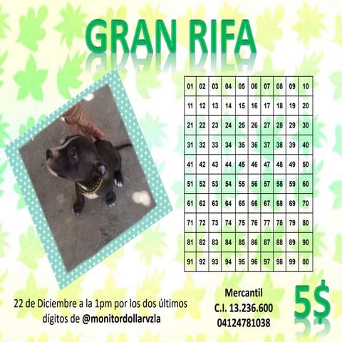 RIFA.pptx