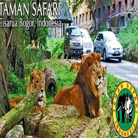 Rifan ppt recount | PPTX