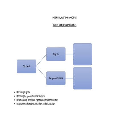 Rights And Responsibilities Module 1 Docx