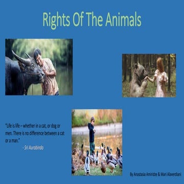 Rights Of The Animals.pptx