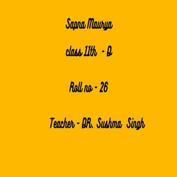 Right to Information.pdf by Sapna Maurya XI D | PDF