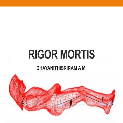 RIGOR MORTIS forensic medicine Late pm changes.pptx