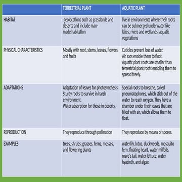 plants have evolved to survive and reproduce in different environments ...