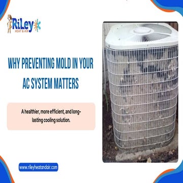 Benefits of Preventing Mold in Your AC System | PDF