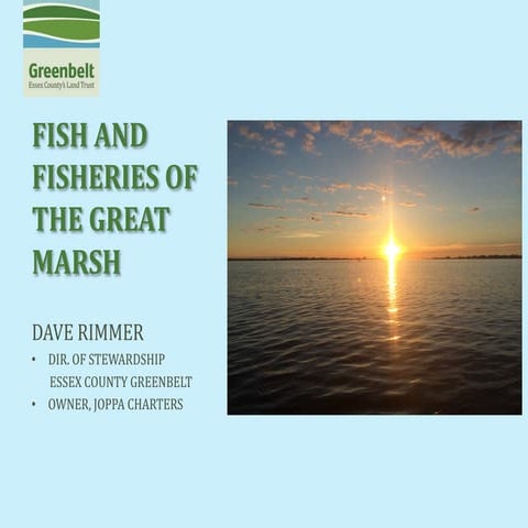 Fish and Fisheries of The Great Marsh David Rimmer, Essex County ...