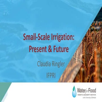 Small-Scale Irrigation: Present & Future | PPTX