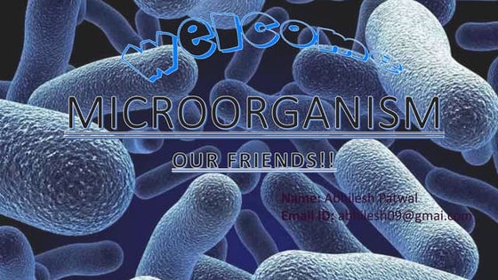 Microorganisms | PPT