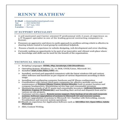 IT Support Specialist | PDF