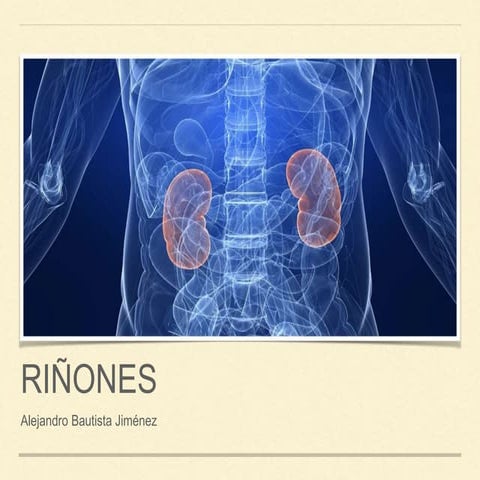 Cáncer Vesical | PPTX
