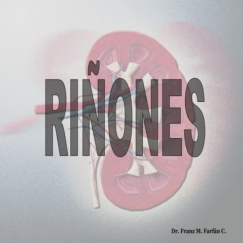 Riñones Dr Farfan | PPT