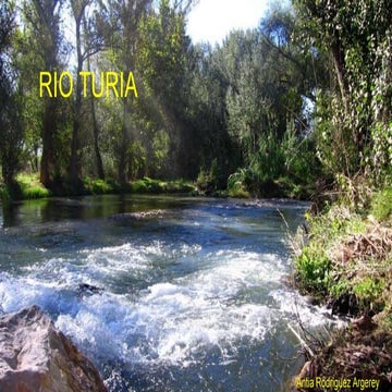 Rio segura alv | PPT