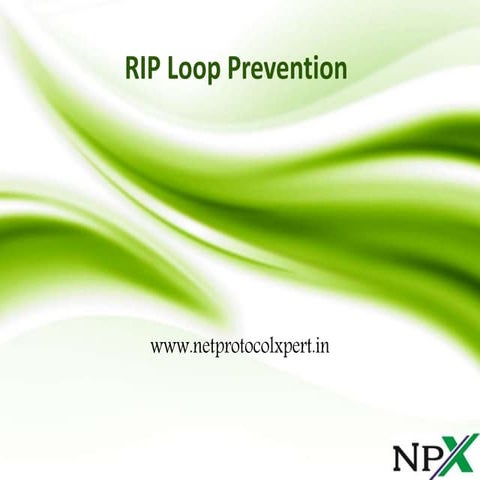 RIP Loop Prevention | PPTX