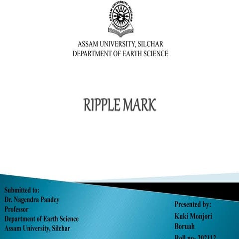 RIPPLE MARK.pptx