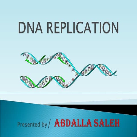 DNA REPLICATION NOTES FOR HIGH SCHOOL BIOLOGY | PPT