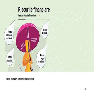 Riscuri financiare si recompense specifice | PPTX