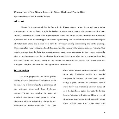 Rise nitrate paper2.0 (1) (1) | DOCX | Chemistry | Science