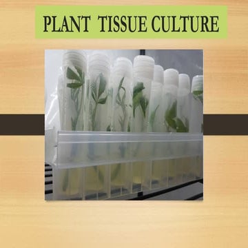 Plant Tissue Culture : Introduction, Types, Application, GHPP, Plant ...