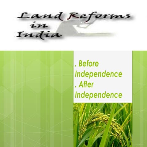 Land reforms