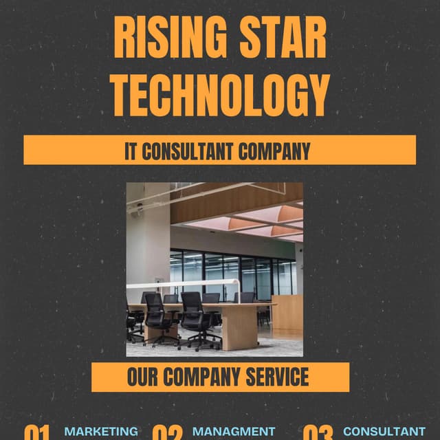 RISING STAR TECHNOLOGY CONSUTANT COMPANY | PDF