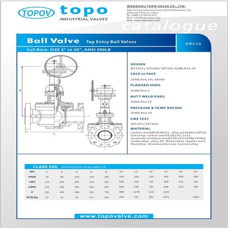 Top entry ball valve 1500 lb topo valve catalogue | PDF