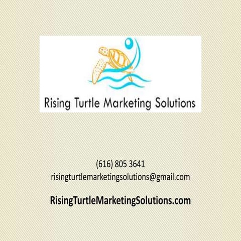 Rising Turtle Marketing Solutions Website Audit PowerPoint | PPTX