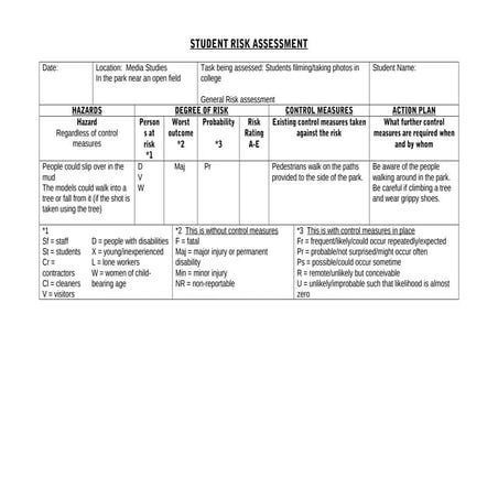 Risk assessment in the park | PPT