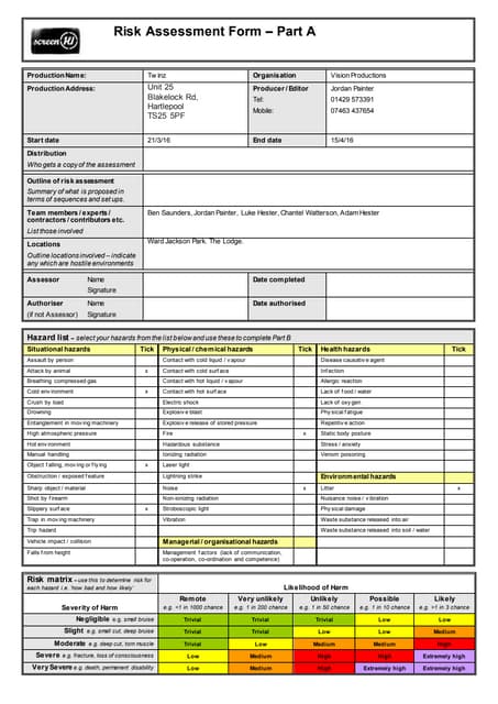 Risk assessment form | PDF