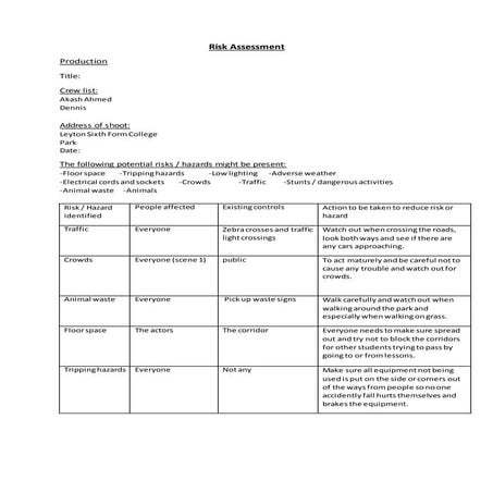 Risk assessment-pre-production | DOCX