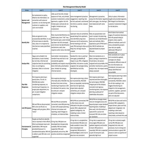 Risk-Management-Maturity-Model.pdf