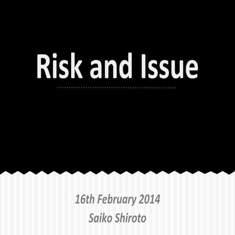 Risk and issue | PDF