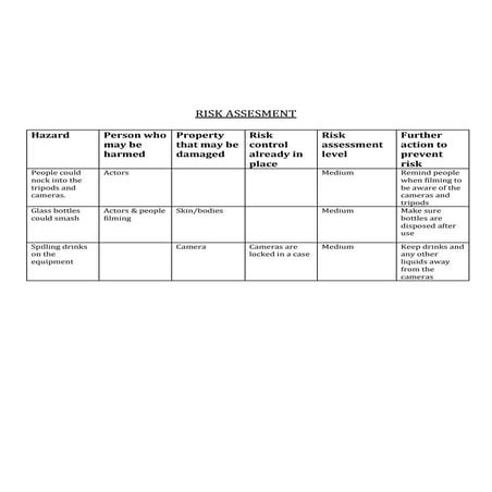 Risk Assessment | DOCX | Cameras and Camcorders | Consumer Electronics