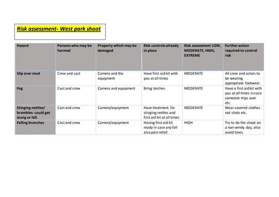 Risk assessment form | PDF
