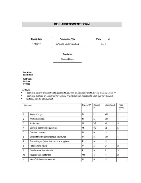 Risk assessment example 1 | DOCX