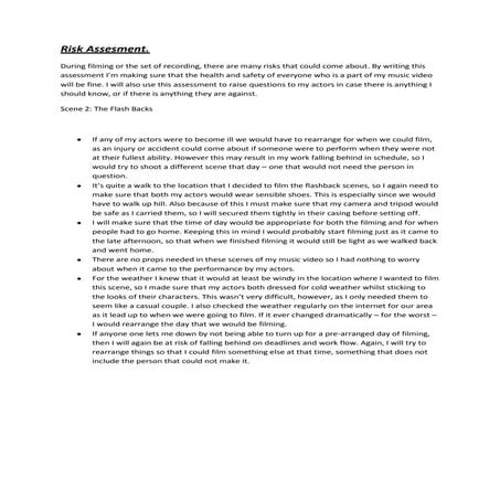 Risk Assessment - Flash Back Scenes | PDF