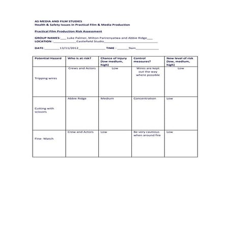 Film production risk assessment form | DOC