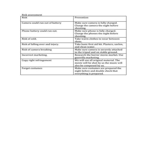 Risk assessment | DOCX | Cameras and Camcorders | Consumer Electronics